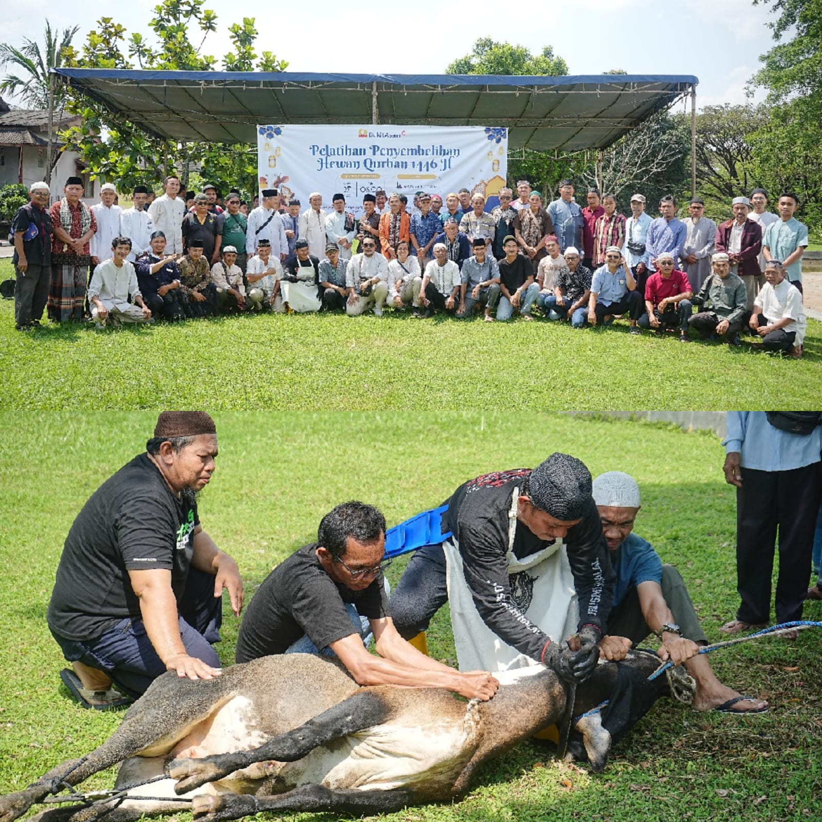 Press ReleaseBukit Asam (PTBA) Bekali 90 Juru Sembelih Hewan Kurban untuk Idul Adha 1446 H - SERGAP