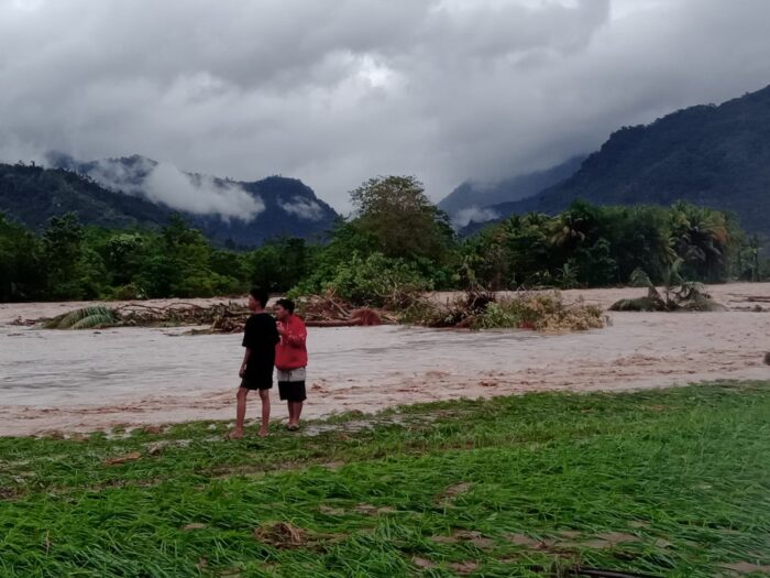 Dinas Pertanian, Rilis Tanaman Pertanian Bencana Alam Banjir di Pessel - Sumber : sergap.co.id ...